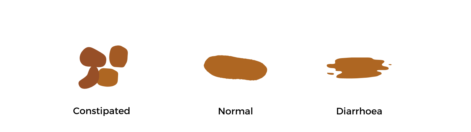 What normal dog poop looks like - Nala Health