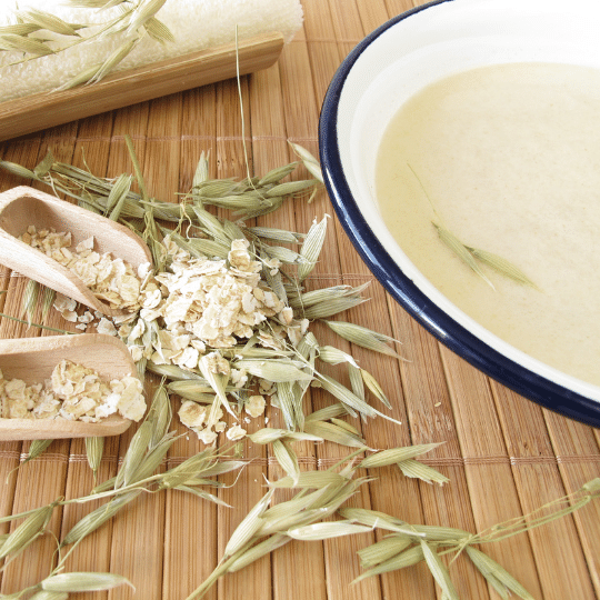 How to treat a puppy with a rash - Nala Health