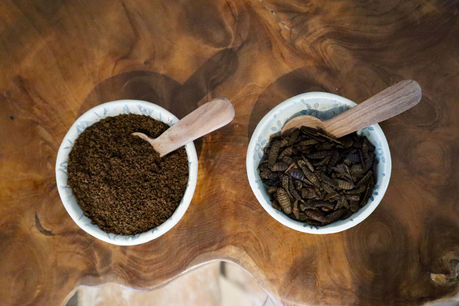 Unleash the Power of Insects - Nala Health